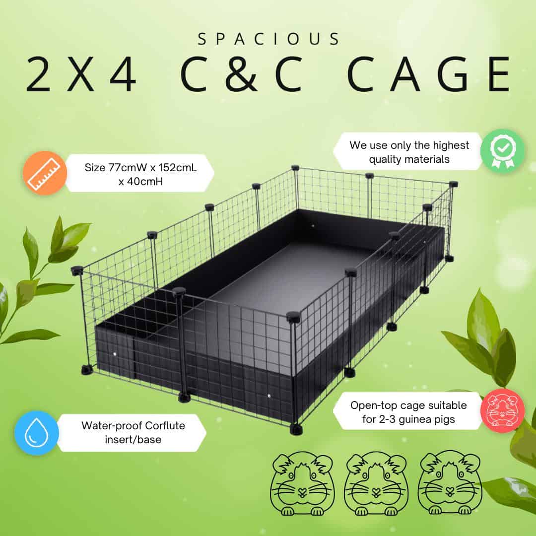 Guinea Pig C C Cage Size at Elmer May blog